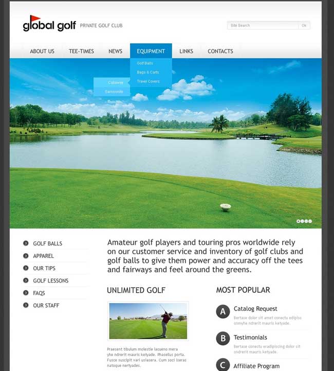 15+ Best Golf WordPress Themes for Golf Courses, Golf Clubs and Golf lessons 2018