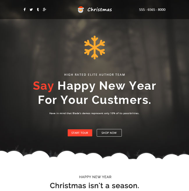 25 Best Christmas Email Newsletter Templates 2016 DesignMaz