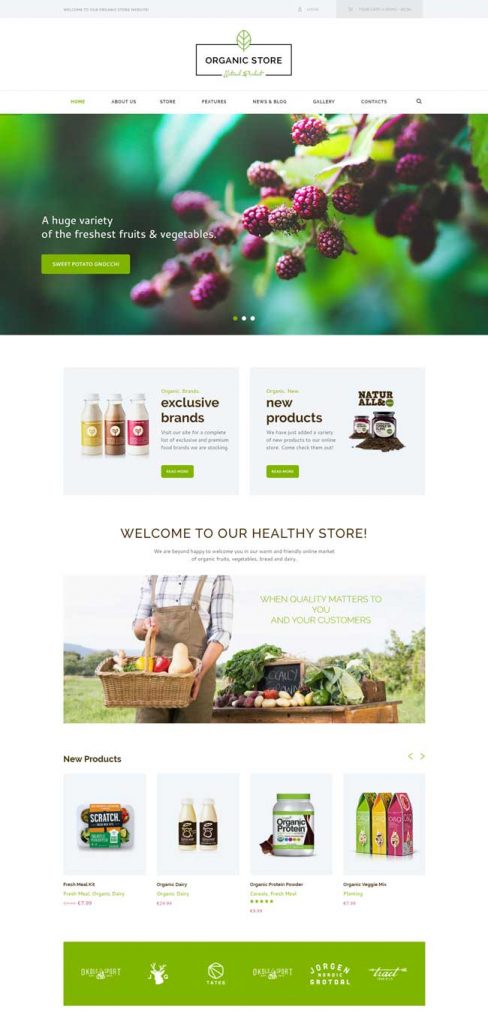 15+ Best Food Store WooCommerce Themes 2017 - DesignMaz