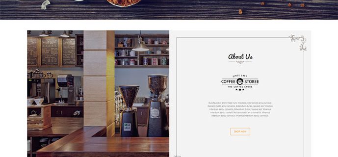 30+ Best eCommerce Responsive HTML Templates 2016